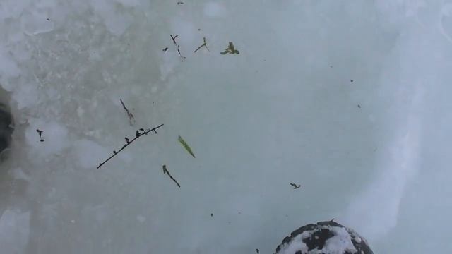 Михалыч моя рыбалка__