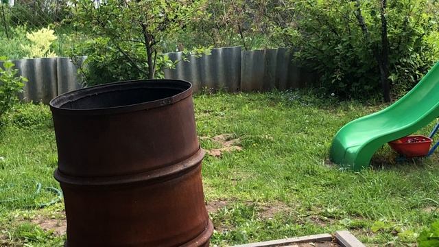 грач? галка?