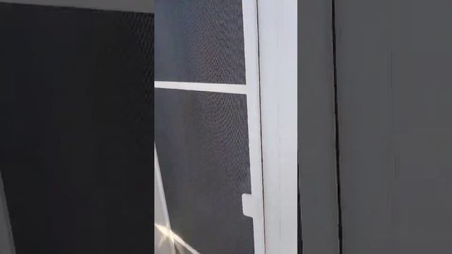 Москитная дверь - Видео