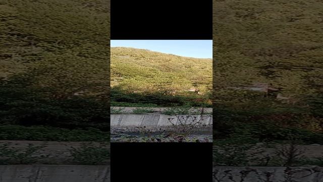 Кавказский горы. Прогулка в горах