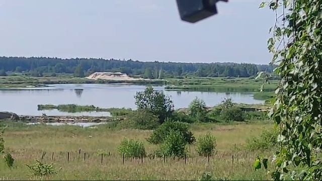 Собираем кабачки на даче. Лето 2024