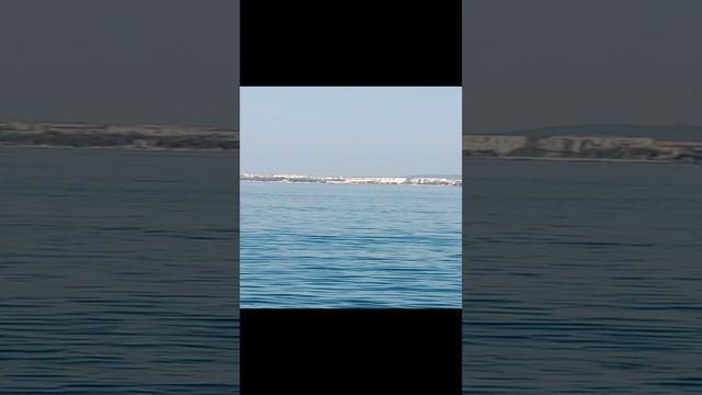 Черное море. Сухум