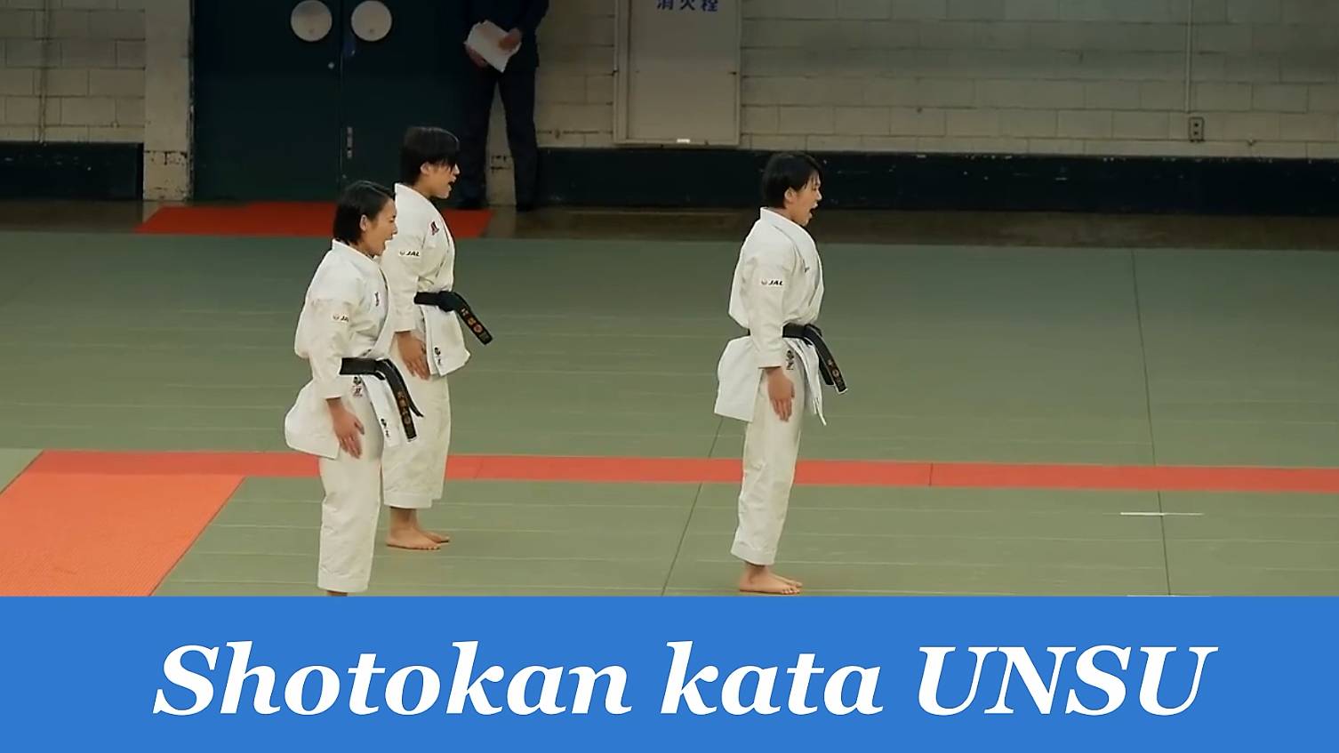 Дантай ката Унсу