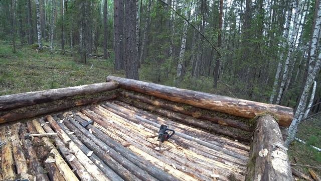 Хижина у реки. Балаган разрушен! Новый гость и помощник! Рыба ловиться рядом!