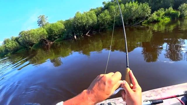 ✅🔥Что За?. 🥺Крики в тайге волосы дыбом. Какая сука ,сожрала две булки хлеба.