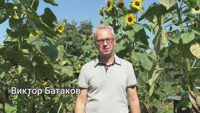 НЛО в Сетевом Маркетинге уже существует