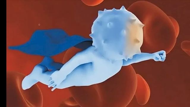 Лимфы. Воины белой крови. Вступление. О чем книга?