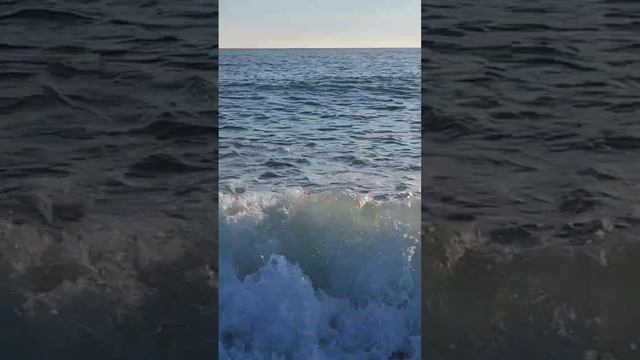 заплыв в море.mp4