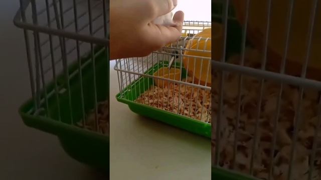 мой дом 🏡 моя крепость 🔐