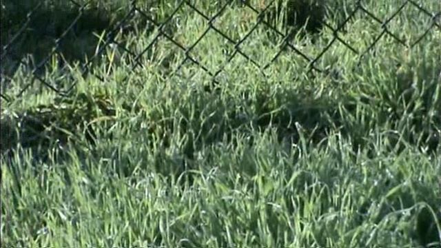 2022 Ноябрь Мама я