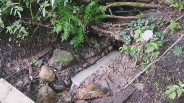 Природный родник у подножья горы