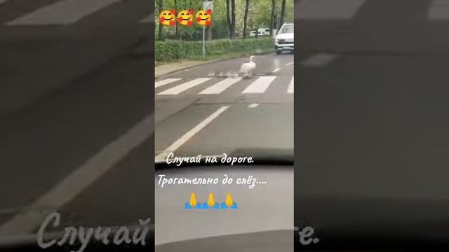 Случай на дороге.