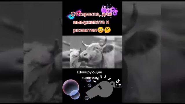 О пользе семечек