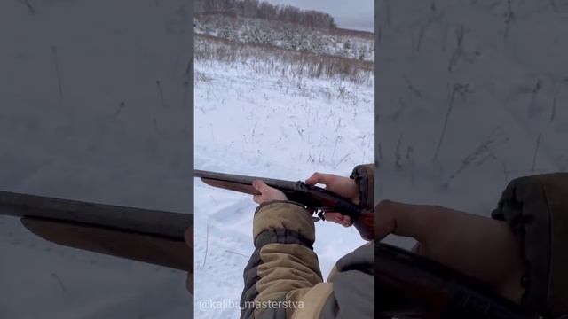 🔫 ИЖ-17: советский однозарядный дробовик с разрывным действием