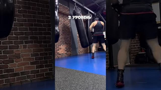 Спорт
