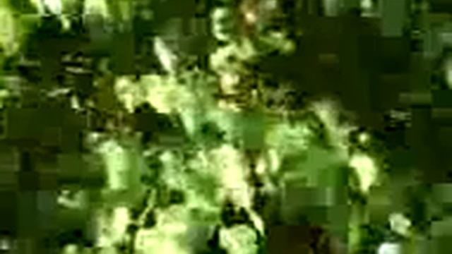 2008.08.14 "Камаринская"