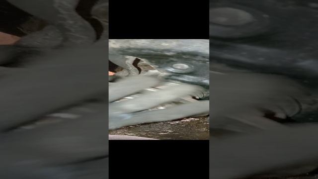 Гул ступичного