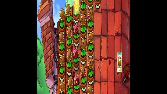 Подсолнухи танцуют