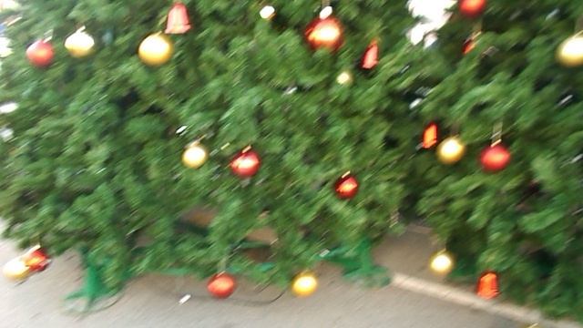 DSCN7946Новогодний Ставрополь январь 2025