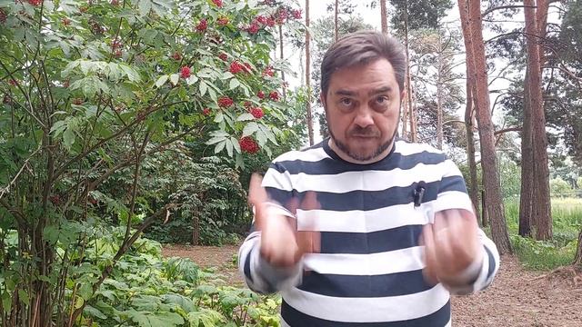 15 урок. Каскадные гарантии при заключении сделки