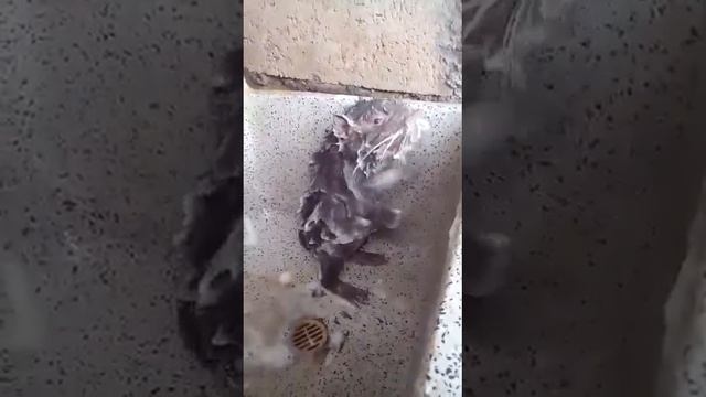 Чистый четверг.