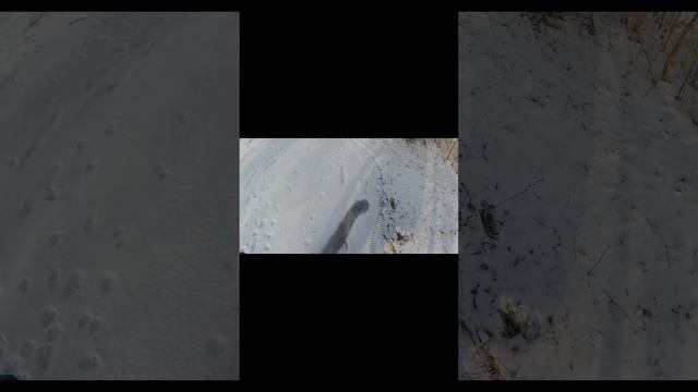 не удачная поездка в деревне. 
Было очень скользко, везде много льда.