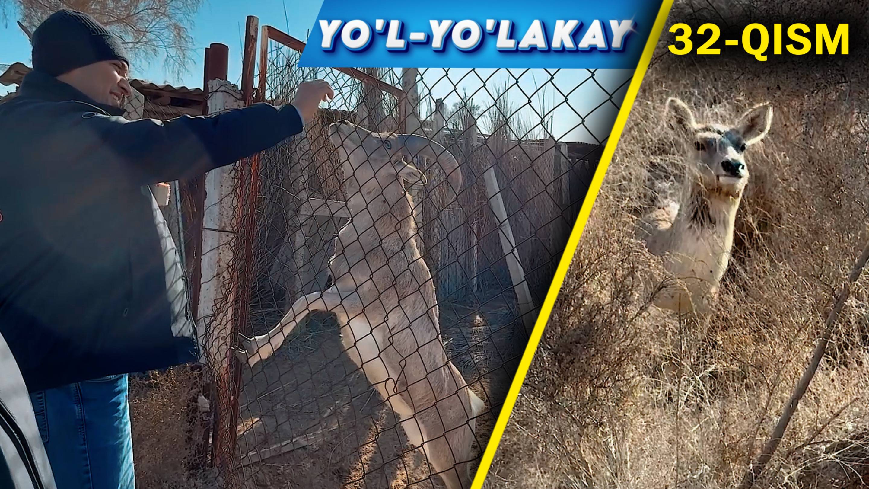 YO'L-YO'LAKAY 32-QISM. BUXORODA QO'RIQXONA