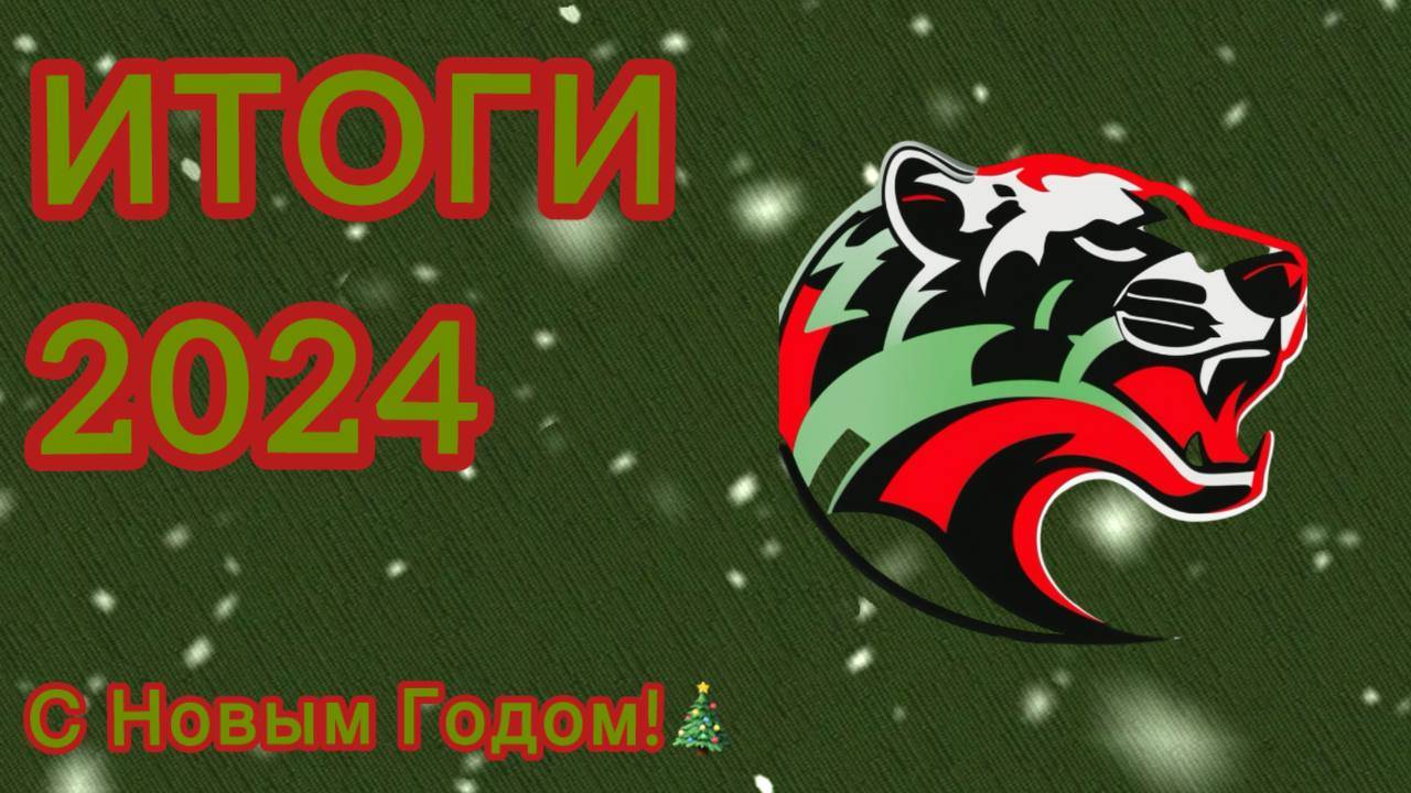 с НОВЫМ 2025 ГОДОМ