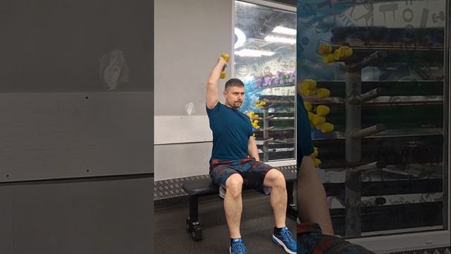 Разгибания на трицепс 1 рукой из-за головы сидя
