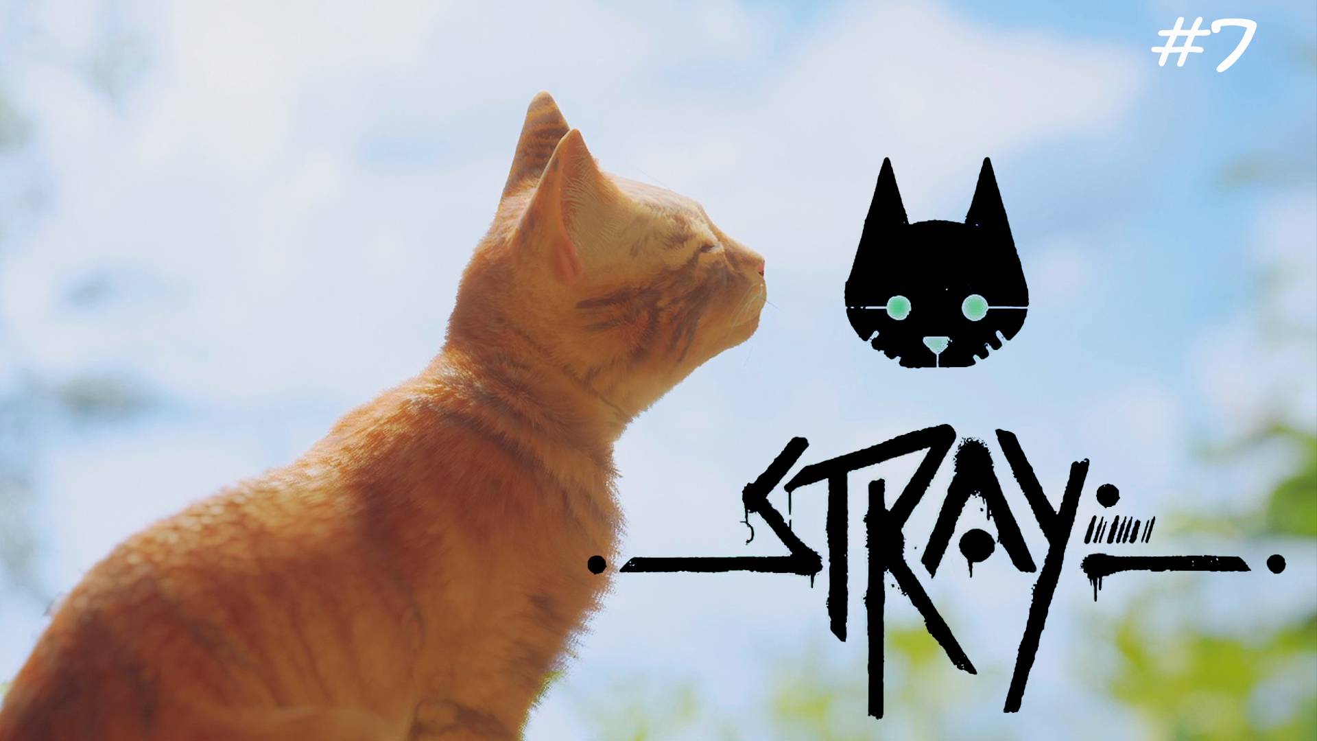 ВЫШЛИ НА СВЕТ ► ФИНАЛ ► Stray (2022) #7