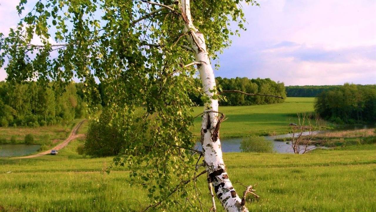 Мистер Кредо - Чудная долина