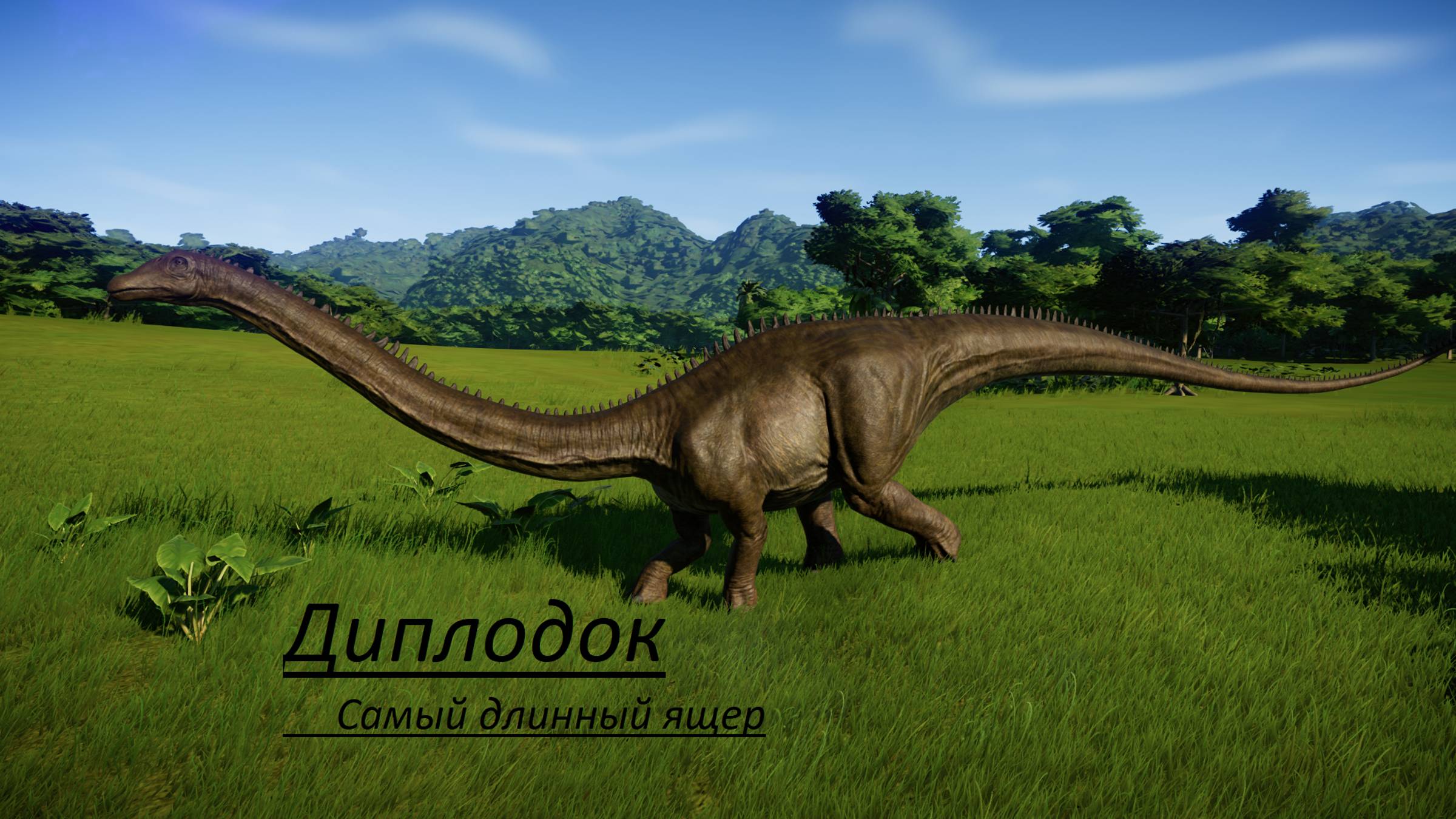 Диплодок самый длинный ящер.