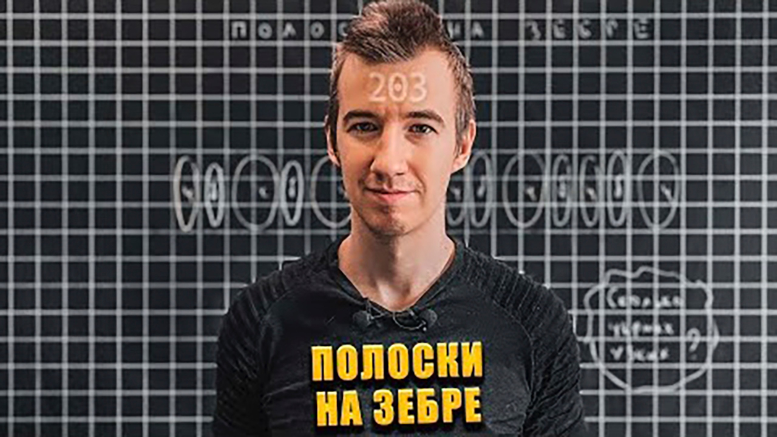 #203 ПОЛОСКИ НА ЗЕБРЕ // МАДАГАСКАР