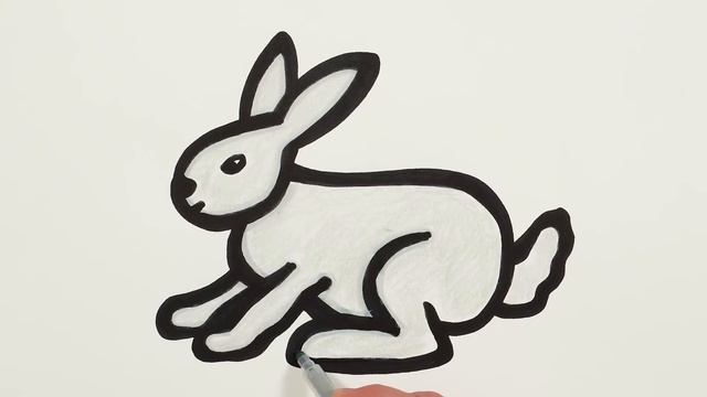 Животные севера и Юга! Сборник рисунков для детей, Малыши Как рисовать животных