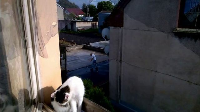 2022 Август Мама я