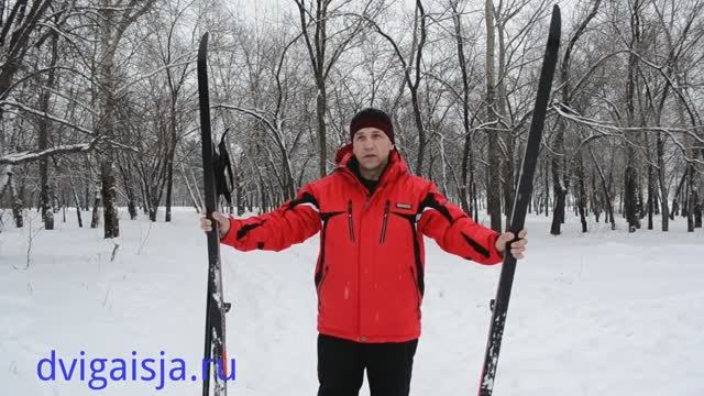 Снег выпал, пора на лыжах кататься. Оздоровительный бег и ходьба на лыжах.