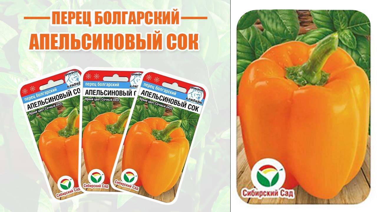 Болгарский перец "Апельсиновый сок"