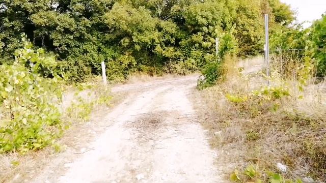 Абрау, прогулка по виноградникам