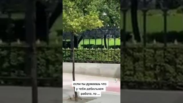 Дебильная работа.