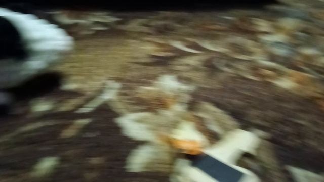 Гусь-гигусь 4 серия гусь раскачался