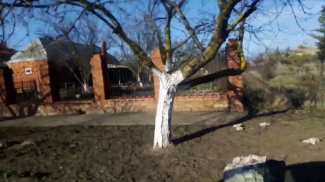 Переезд на юг. Четвёртая серия