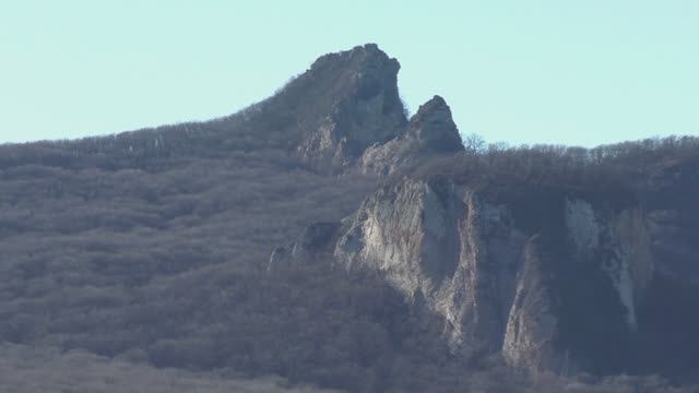 Кабанка, январь 2025