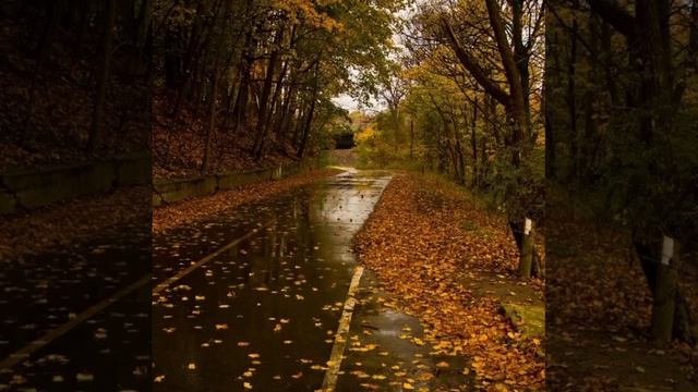 Я грущу о тебе © Copyright: Бронислав Сычёв, 2025
Свидетельство о публикации №125010902408