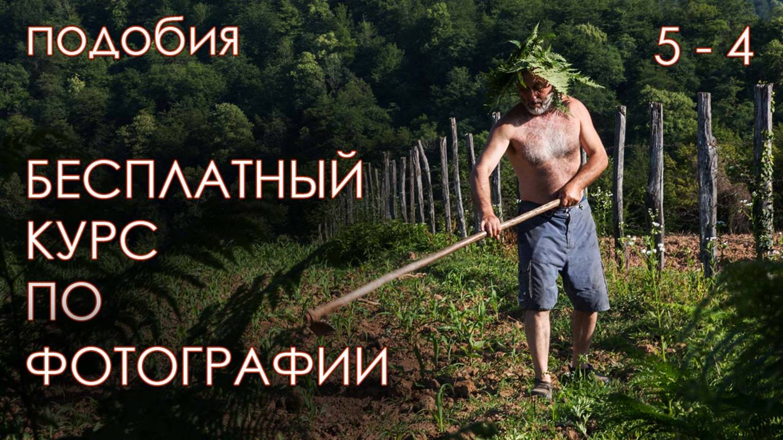 Урок 5-4. Подобные элементы в фотографии. Как работают, воздействуют на восприятие связи подобия.