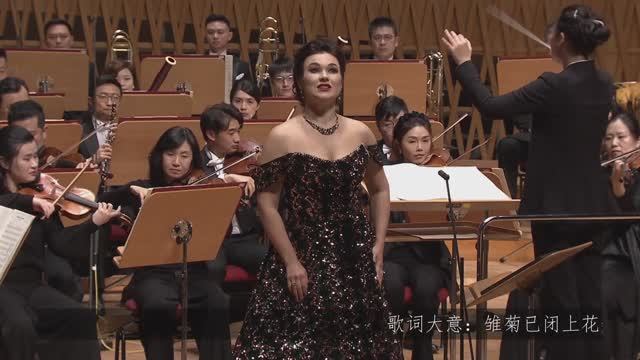 Ольга Перетятько — Ouvre ton coeur (Бизе)