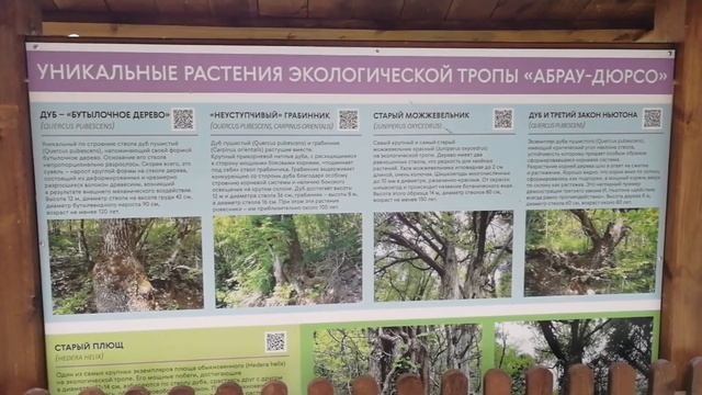 Абрау Дюрсо. Пешие маршруты вдоль озера.