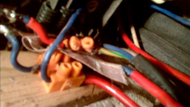 2022 Октябрь Мама я и заработанное Дерево