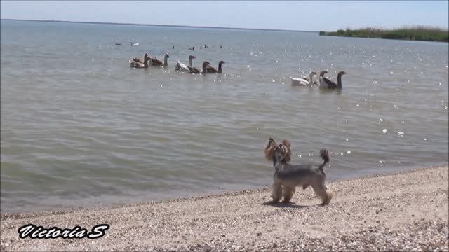 Херсонщина - всё это наша земля. Древний Станислав, Днепровский Лиман.