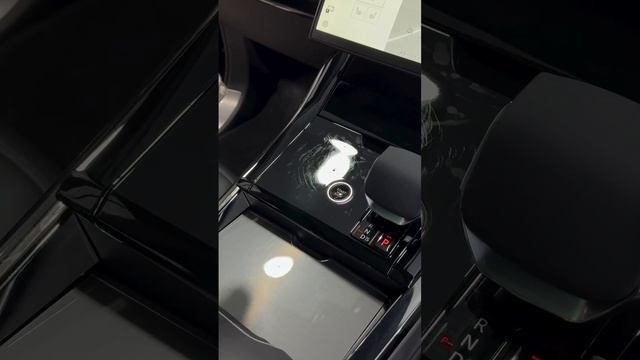 Оклейка глянцевых деталей салона и дисплеев мультимедиа автомобиля готовыми лекалами! 1