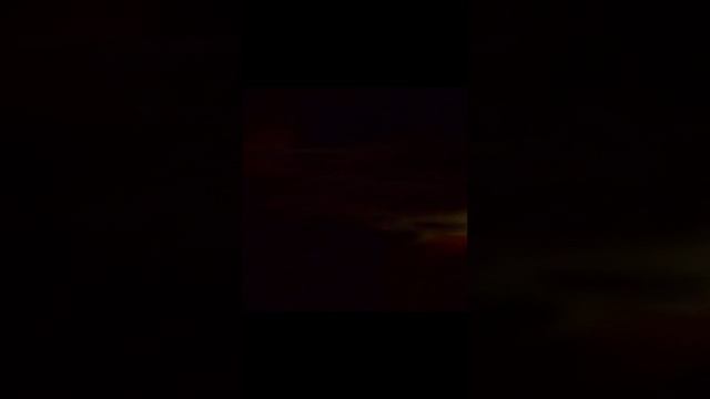 милый котик 5 серия 1 сезона